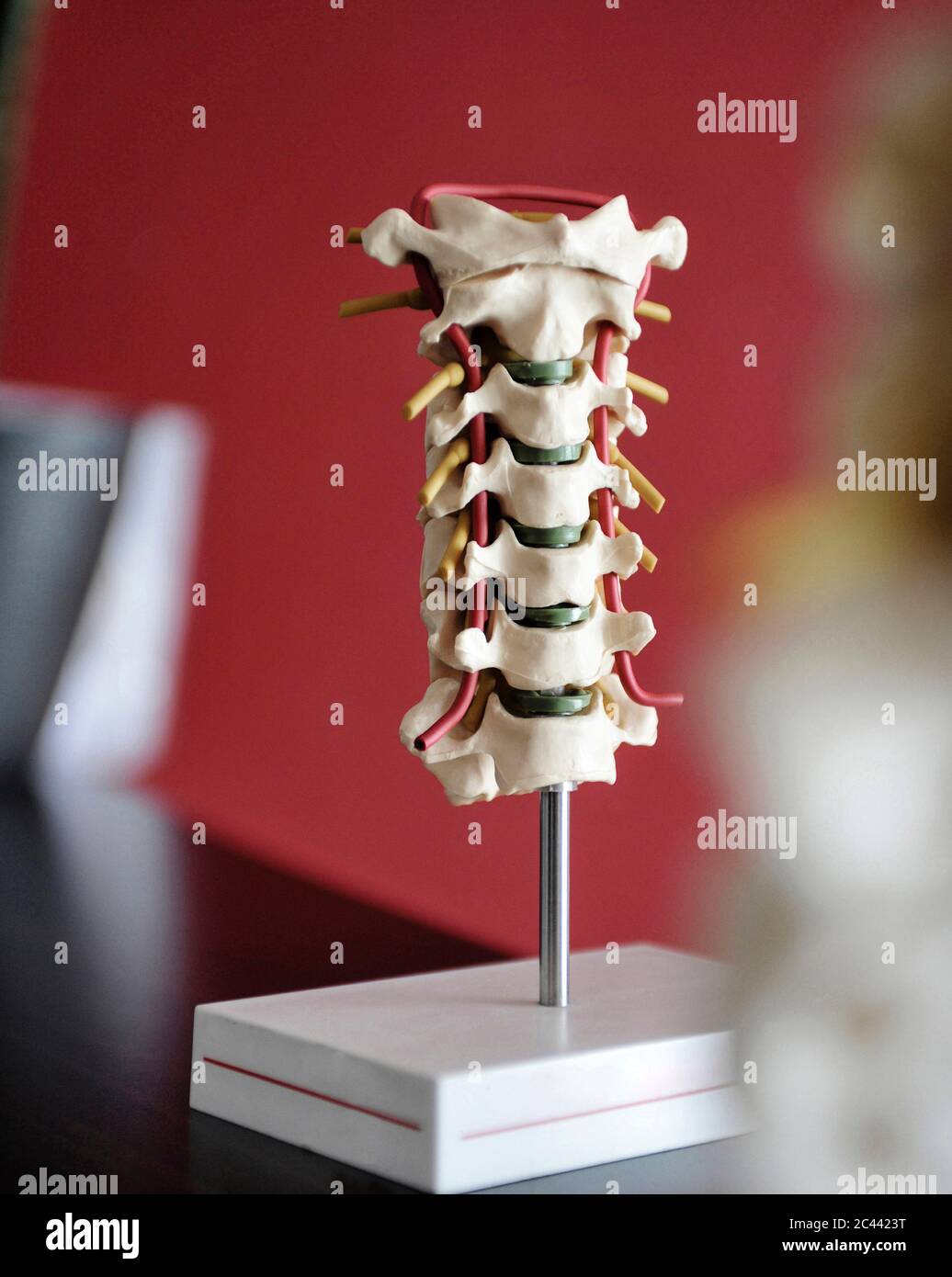 Spine building hi-res stock photography and images - Alamy