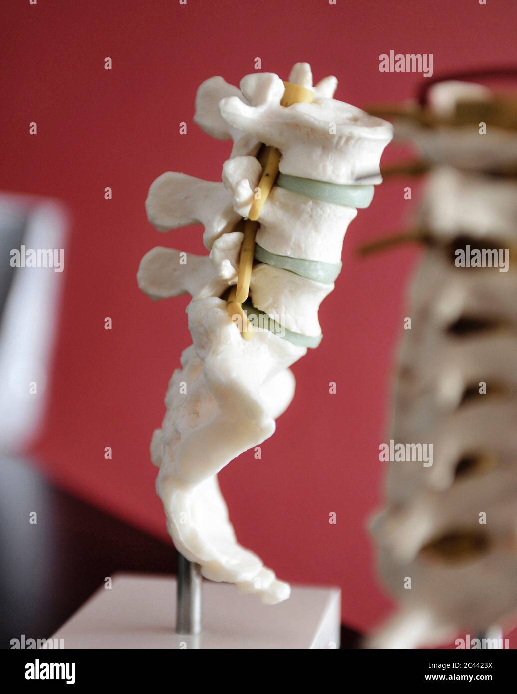 Spine building hi-res stock photography and images - Alamy