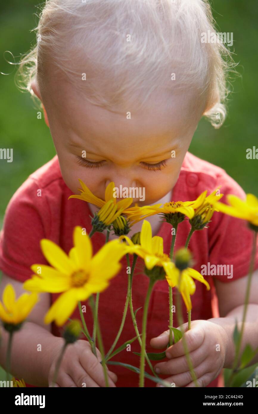 Little boy looks into flowers outdoors Stock Photo - Alamy