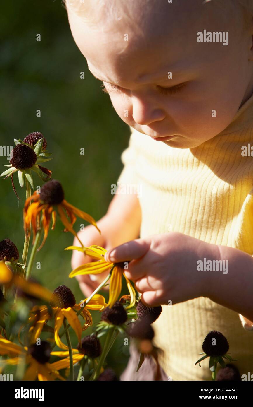 Little boy looks into flowers outdoors Stock Photo - Alamy