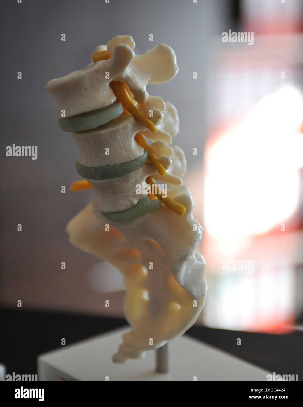 Spine building hi-res stock photography and images - Alamy