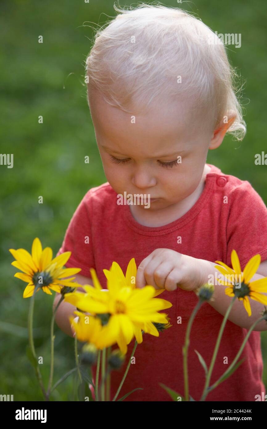 Little boy looks into flowers outdoors Stock Photo - Alamy