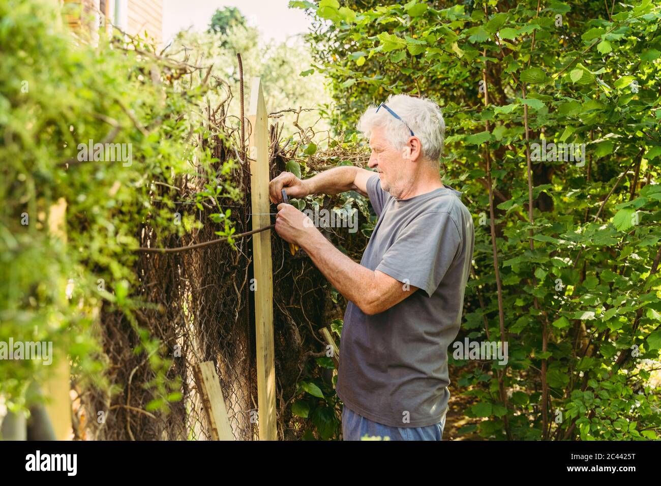 Fence garden fixing hi-res stock photography and images - Alamy