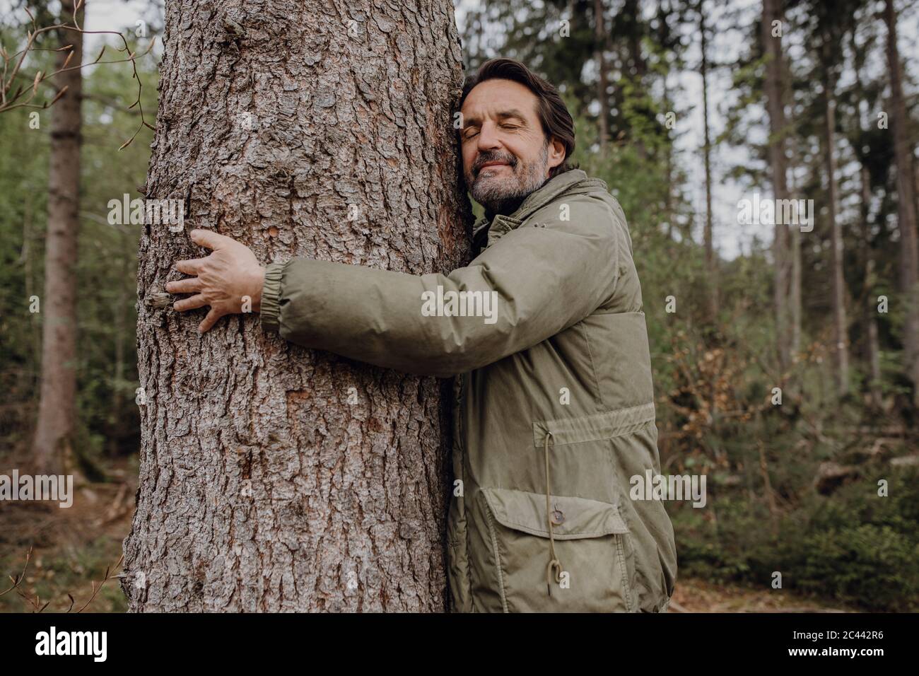 Mature hiker hugging tree trunk Stock Photo - Alamy