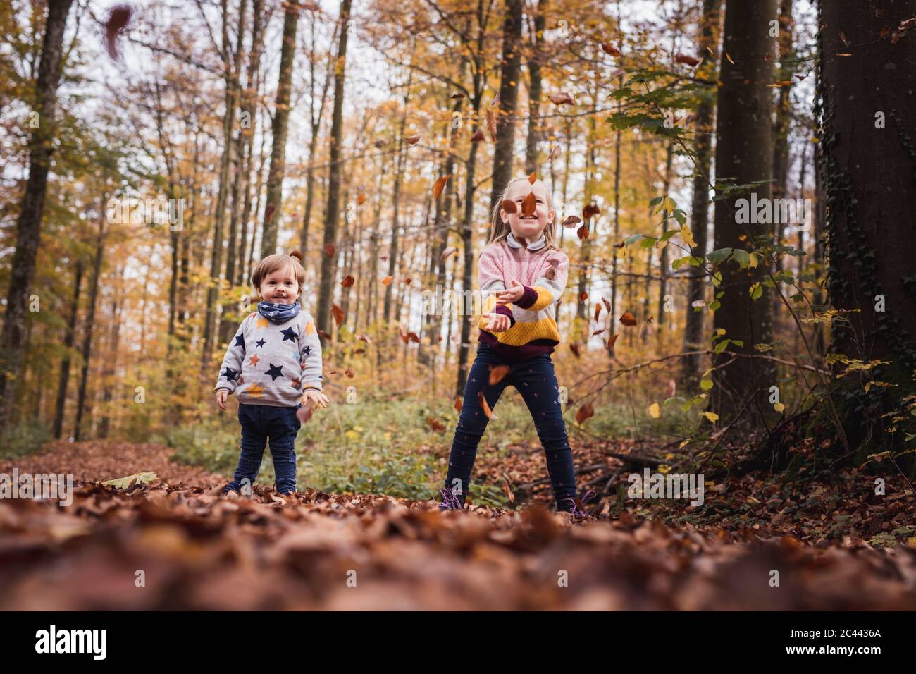 Two boys playing forest hi-res stock photography and images - Alamy