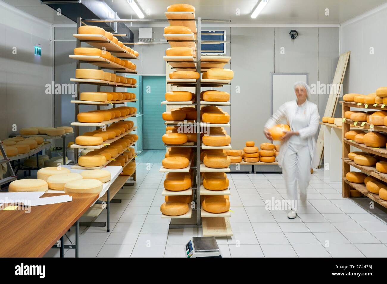 Cheese factory, blurred female worker with cheese wheel in storeroom ...