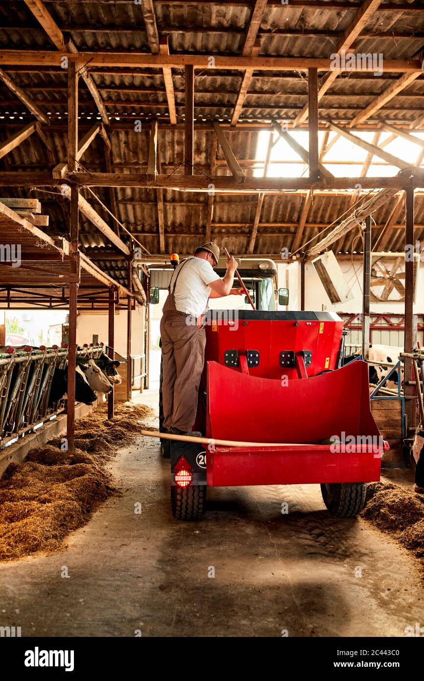 Male farmer standing on agricultural vehicle in dairy farm Stock Photo ...