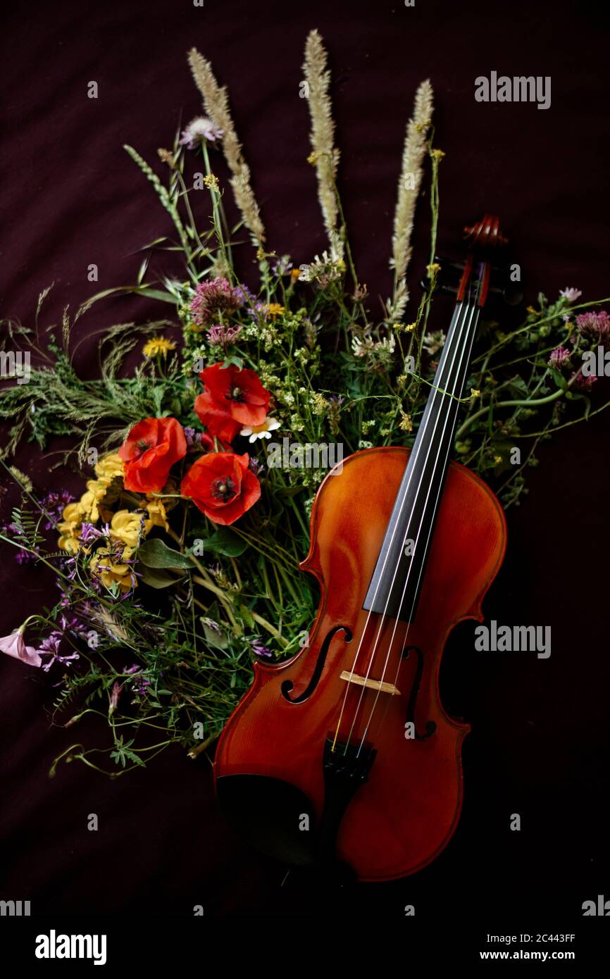 Violin With Flower Photography