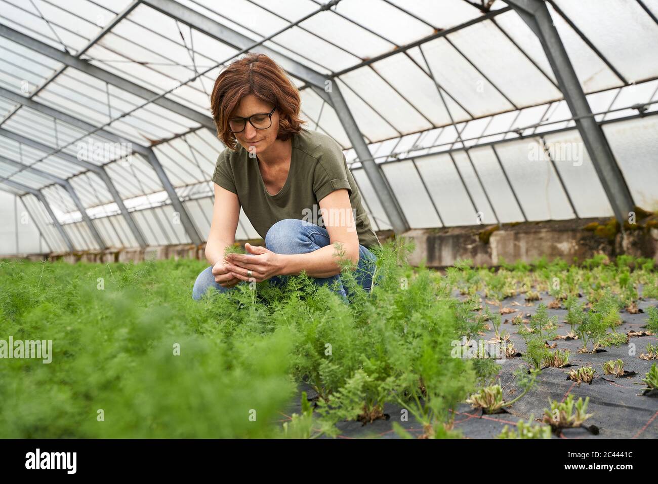 Cultivating hi-res stock photography and images - Alamy