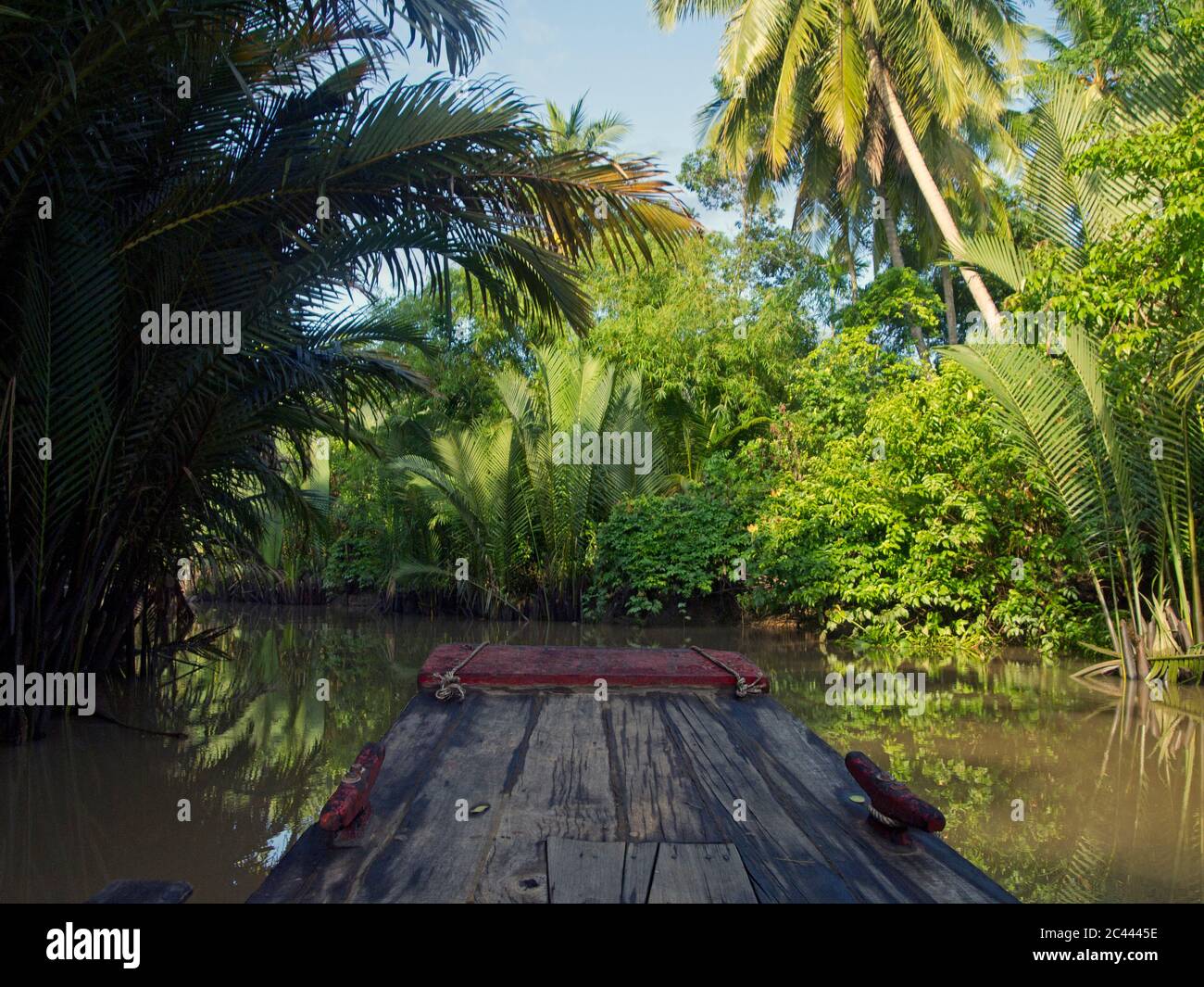Landscape in the Mekong Delta, Vietnam Stock Photo - Alamy