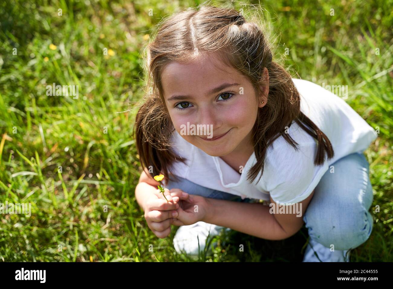 Cute girl crouching while holding tiny yellow flower on sunny day Stock ...