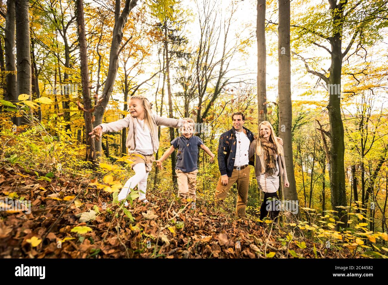 Children playing in forest hi-res stock photography and images - Alamy