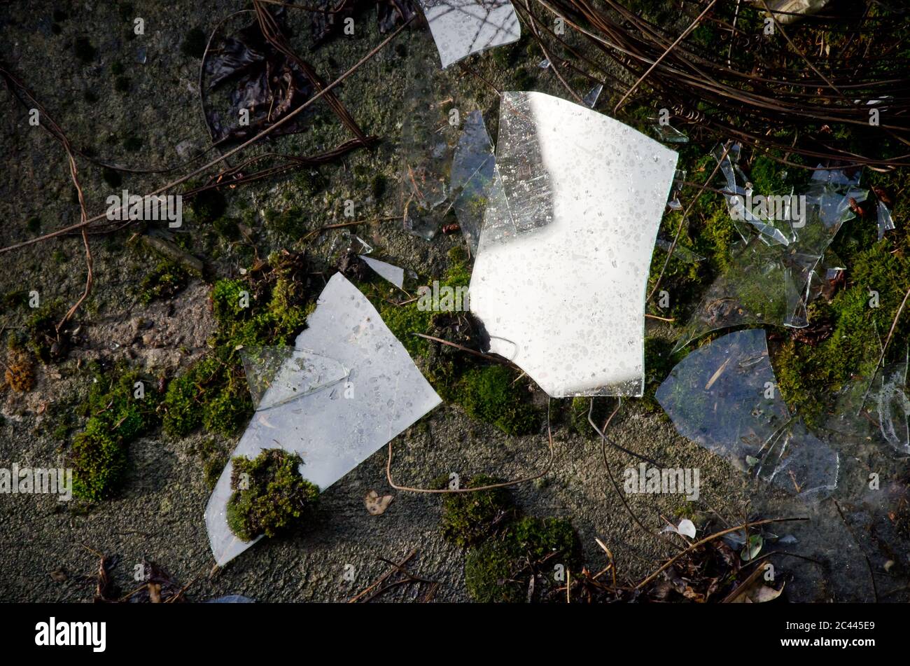 broken glass on ground in nature, grass and part of branches around ...