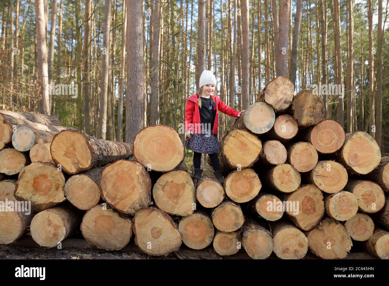 Little girl standing on stack of wood in the forest Stock Photo - Alamy