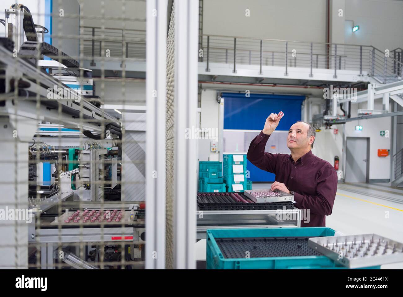 Man examining product in a factory Stock Photo - Alamy