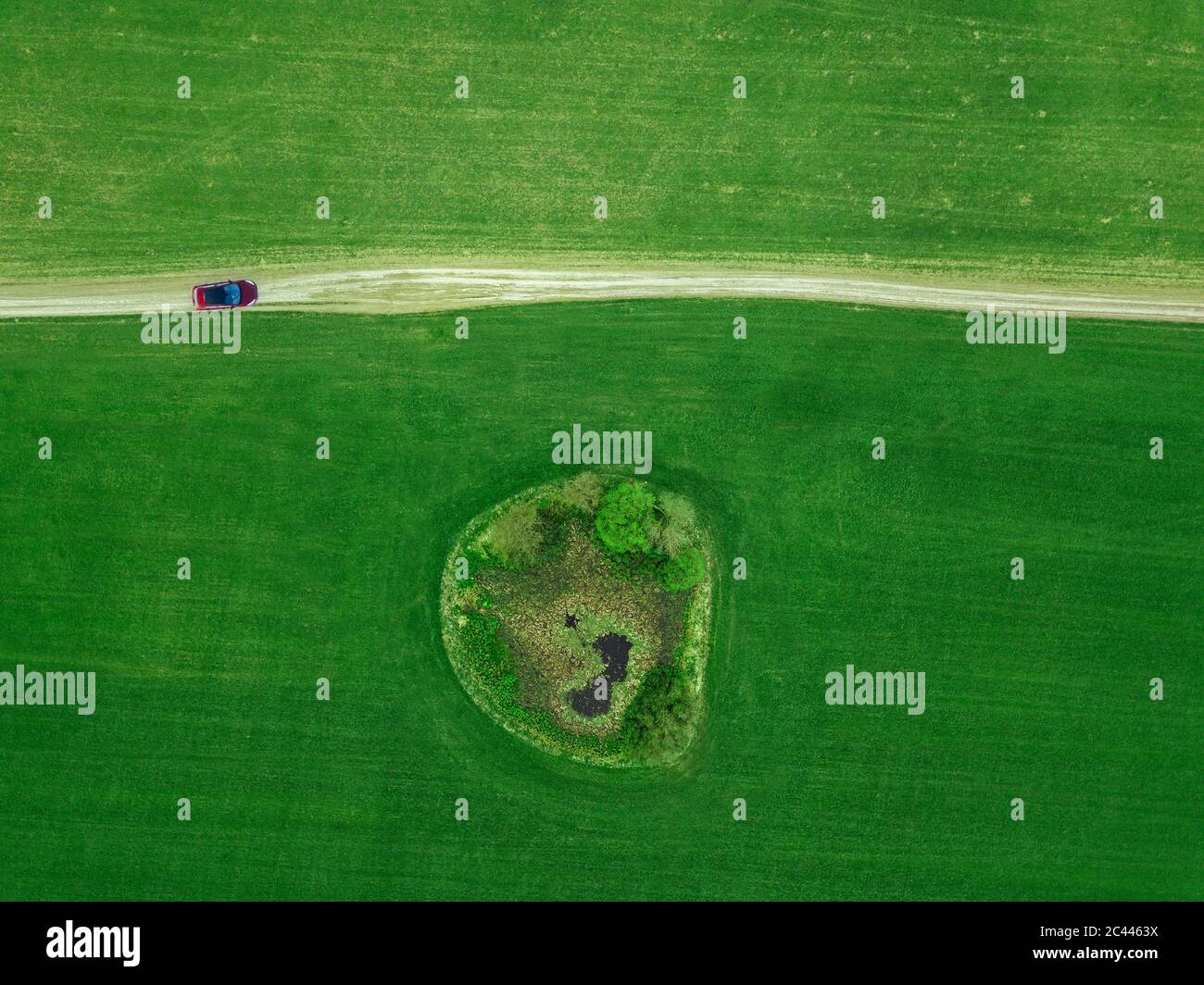 Russia, Moscow Oblast, Aerial view of car passing small pond in green ...