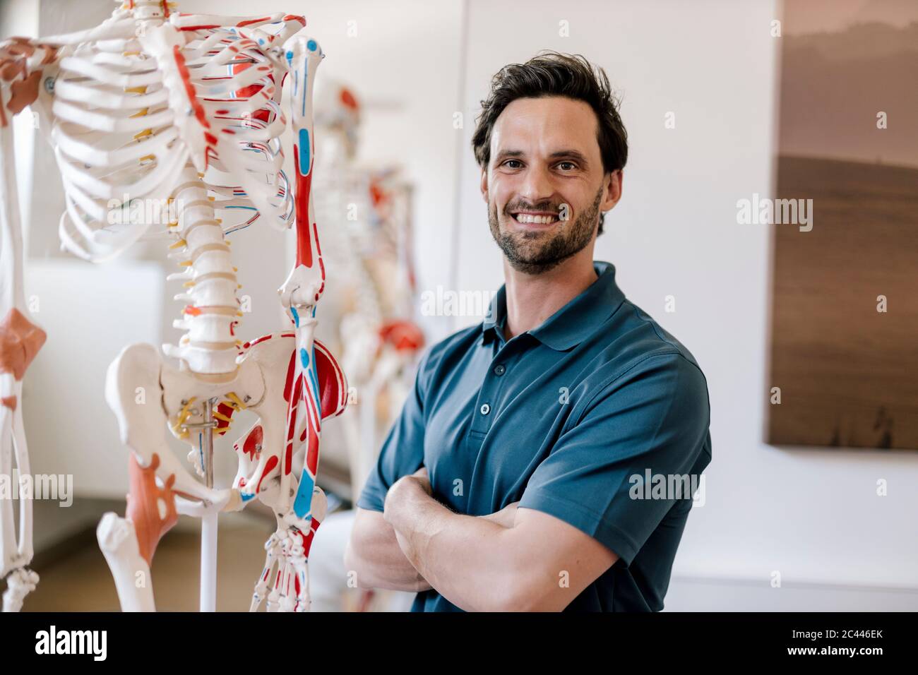 Physiotherapist standing by anatomical skeleton with arms crossed Stock ...