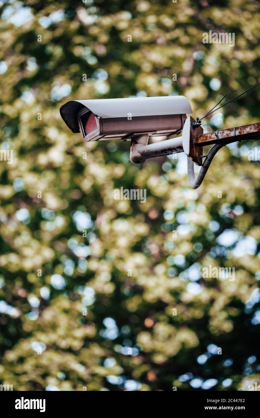 Security camera against tree Stock Photo - Alamy