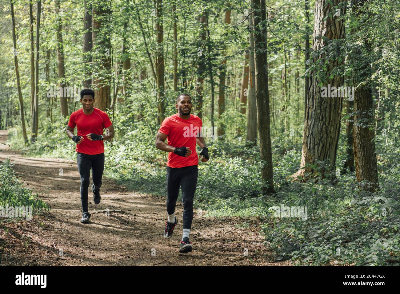 Sportsmen running on forest path Stock Photo - Alamy