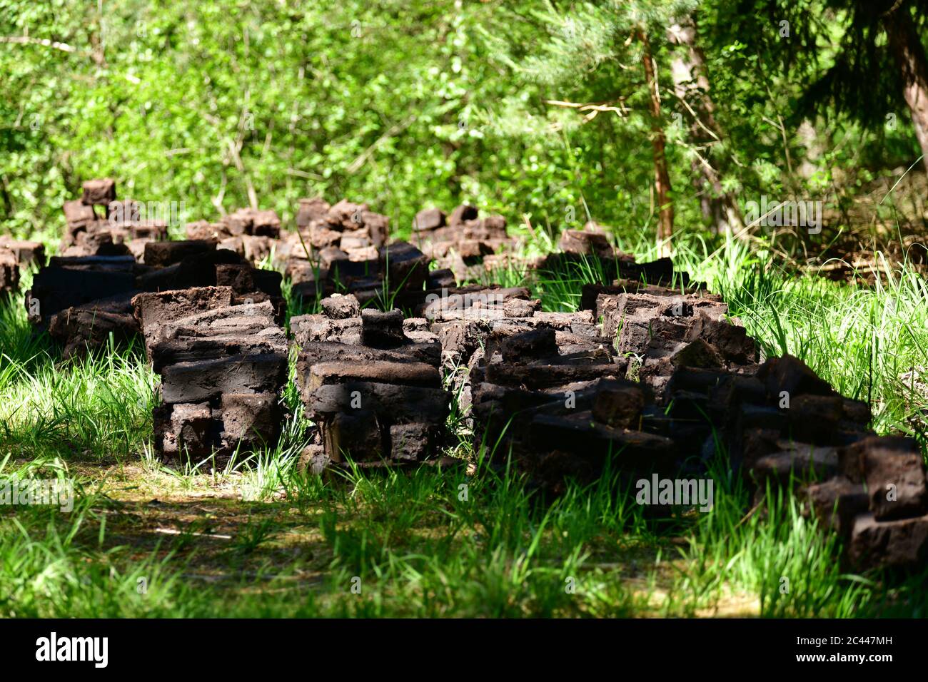 Freshly turf cut from the bog and stacked to dry. Ibmer moor, Austria ...