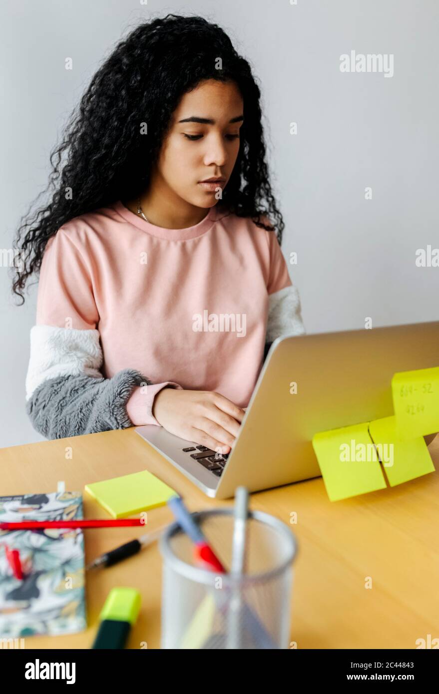 Young freelancer woman working from hi-res stock photography and images ...