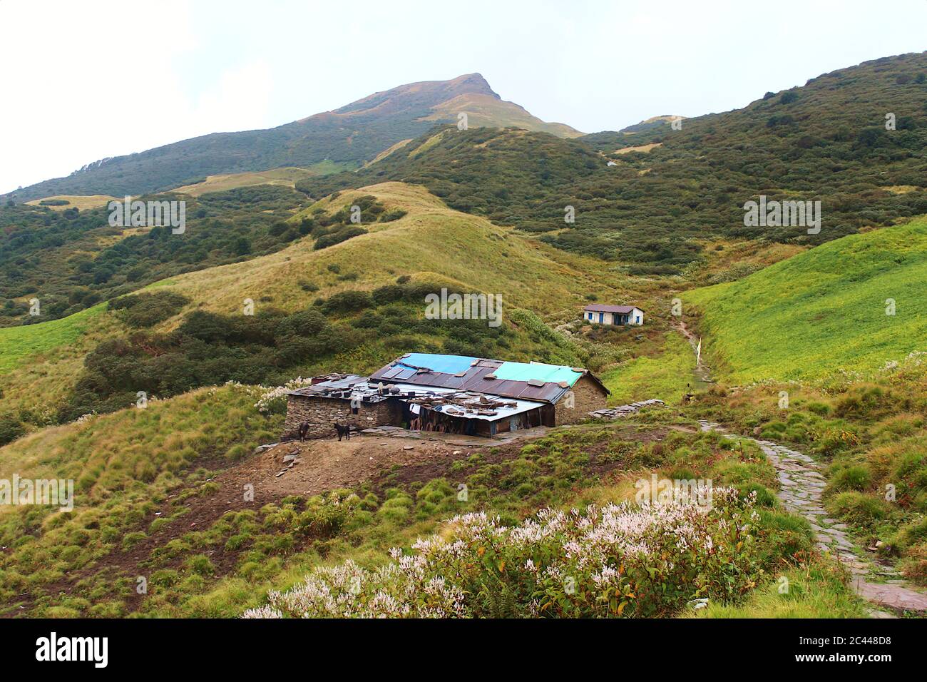 Rudranath temple hi-res stock photography and images - Alamy