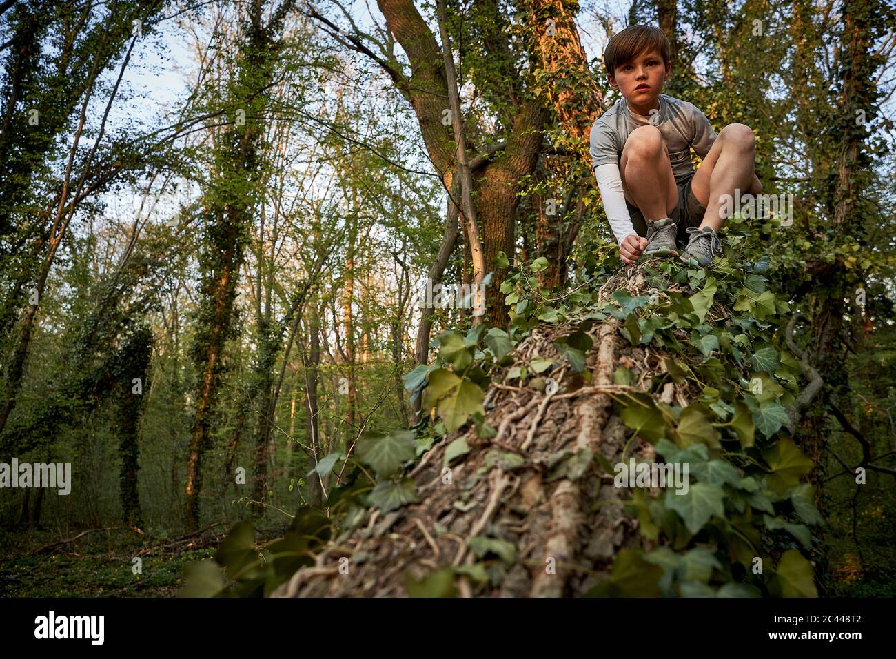 Growth tree people climbing hi-res stock photography and images - Alamy