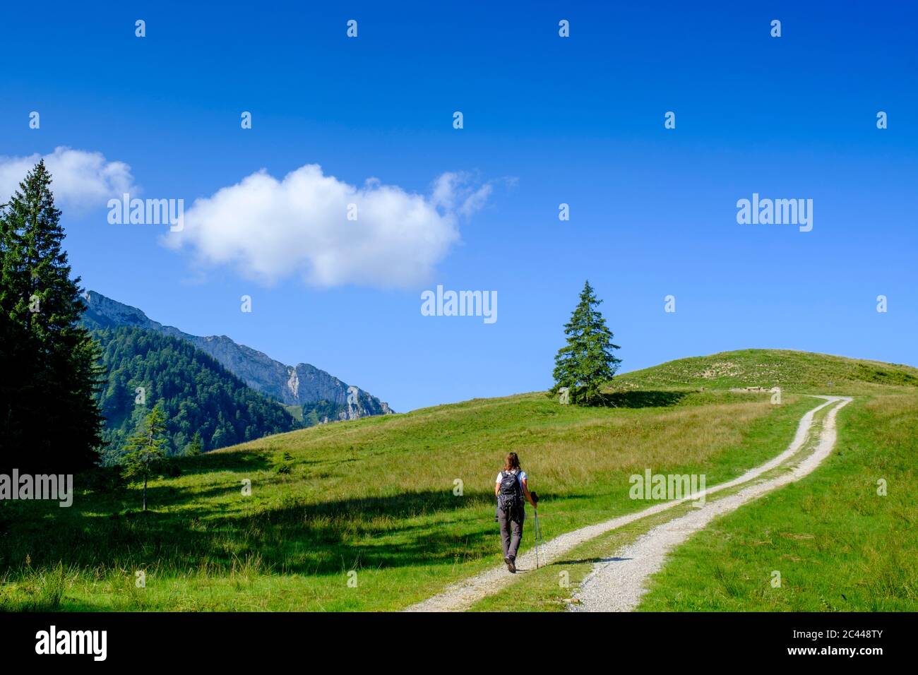 Langenberg mountain hi-res stock photography and images - Alamy
