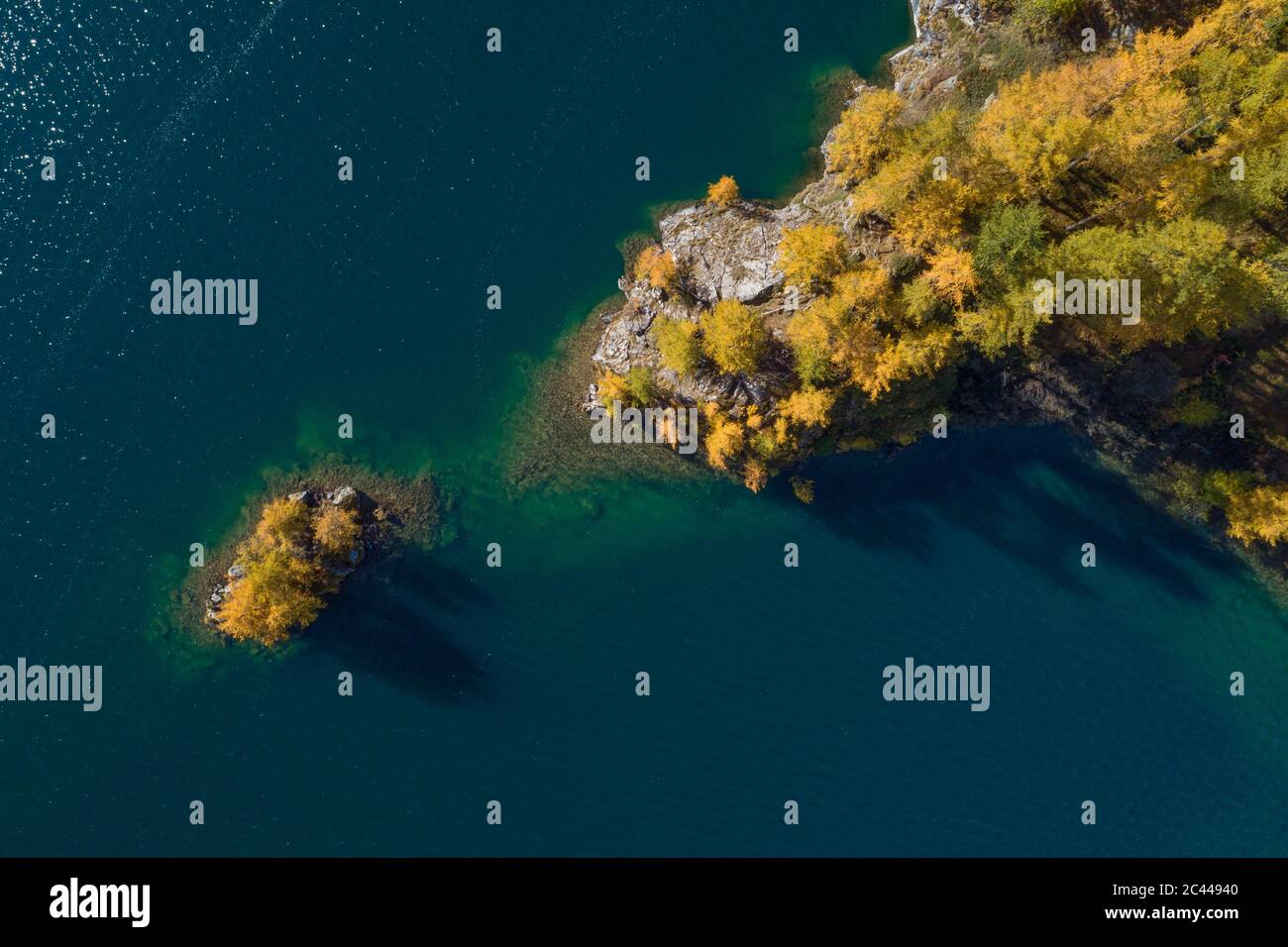Switzerland, Canton of Grisons, Saint Moritz, Drone view of larch trees ...