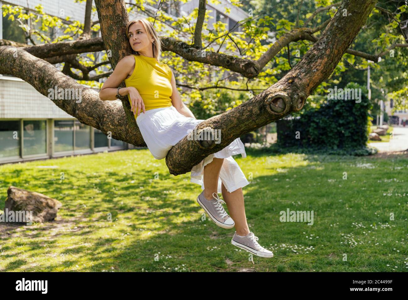 Tree sitting summer woman hi-res stock photography and images - Alamy