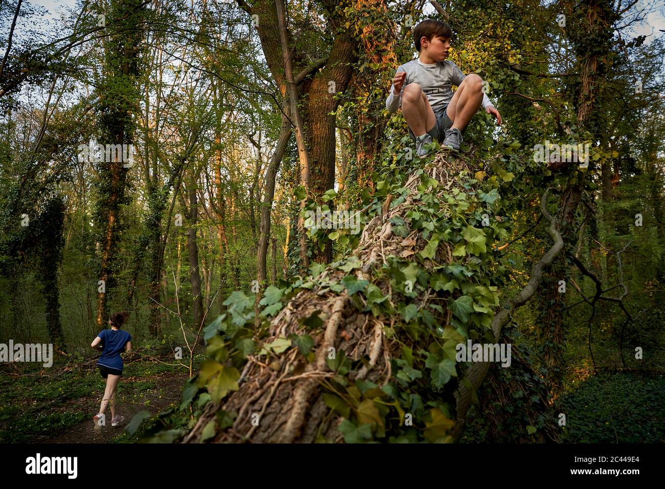 Full length of boy tree by sister running in forest Stock Photo - Alamy