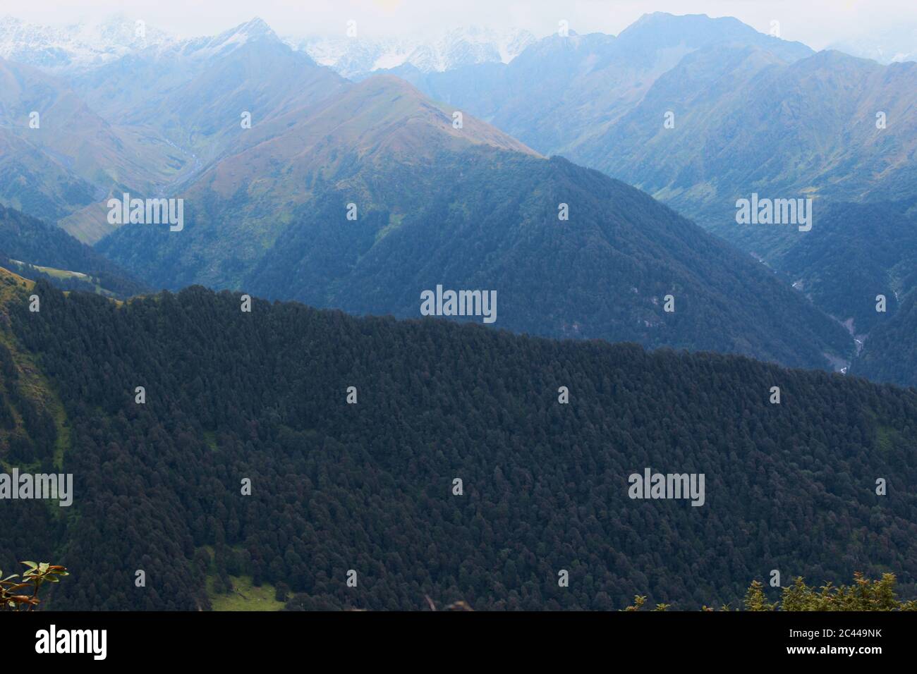 a landscape view of the forest in front of high mountains Stock Photo ...
