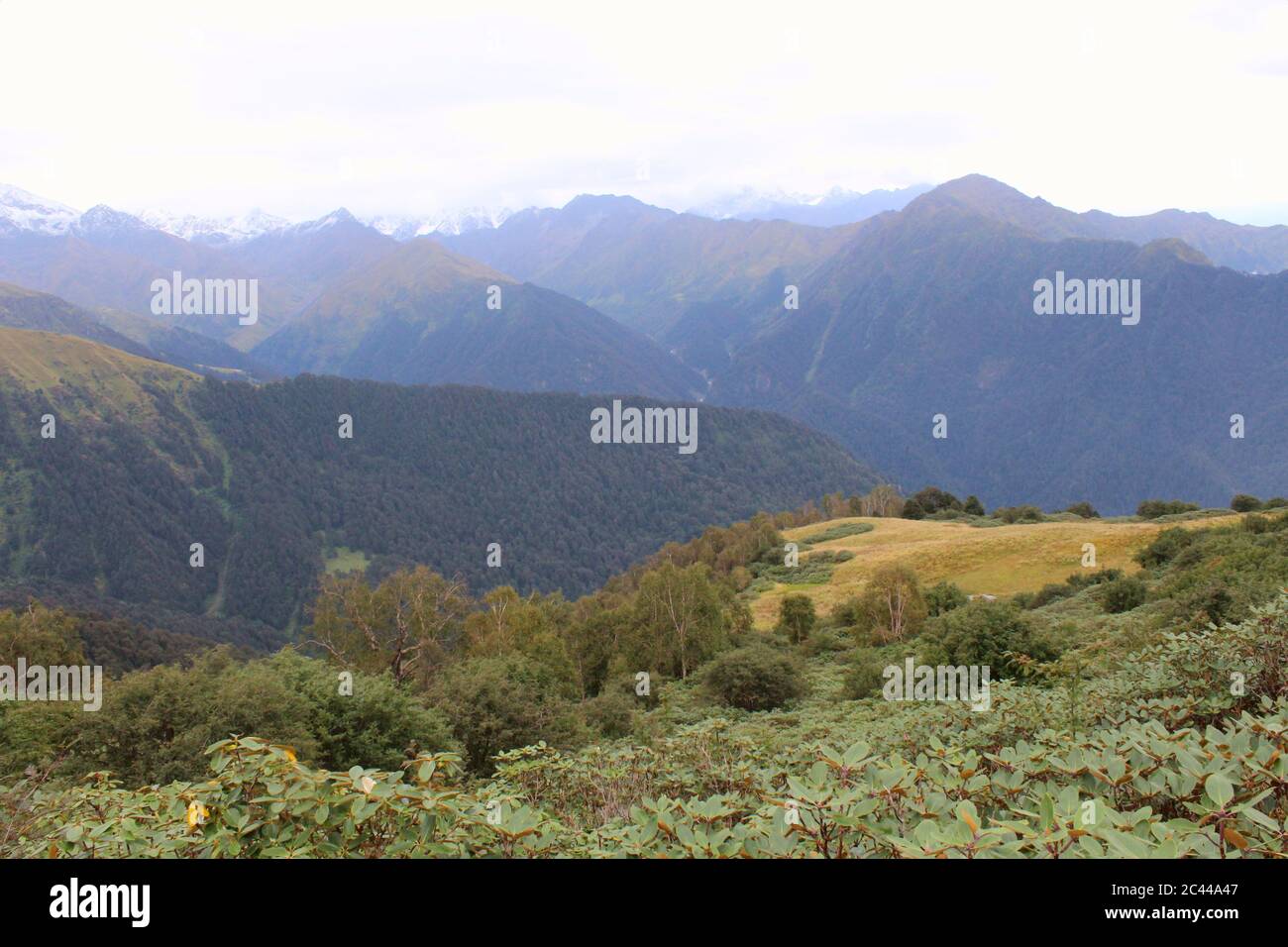 Natural view hi-res stock photography and images - Alamy