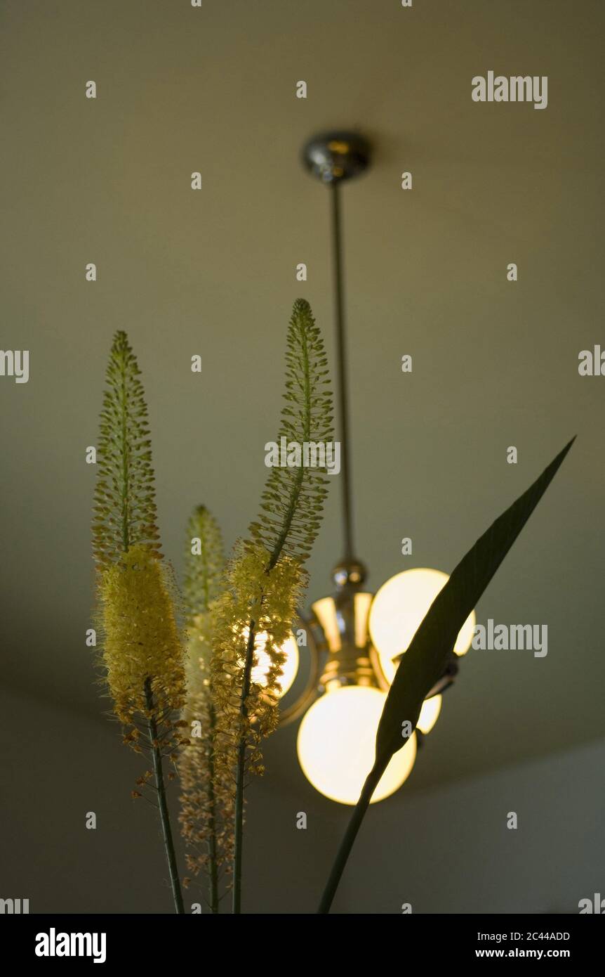 Blossom ceiling hi-res stock photography and images - Alamy
