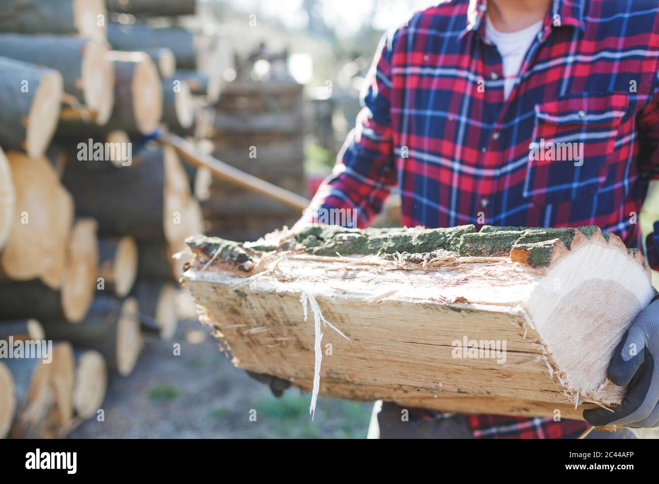 Lumberjack holding chopped log in forest Stock Photo - Alamy