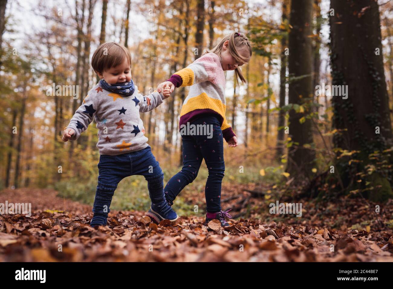 Two boys playing forest hi-res stock photography and images - Alamy