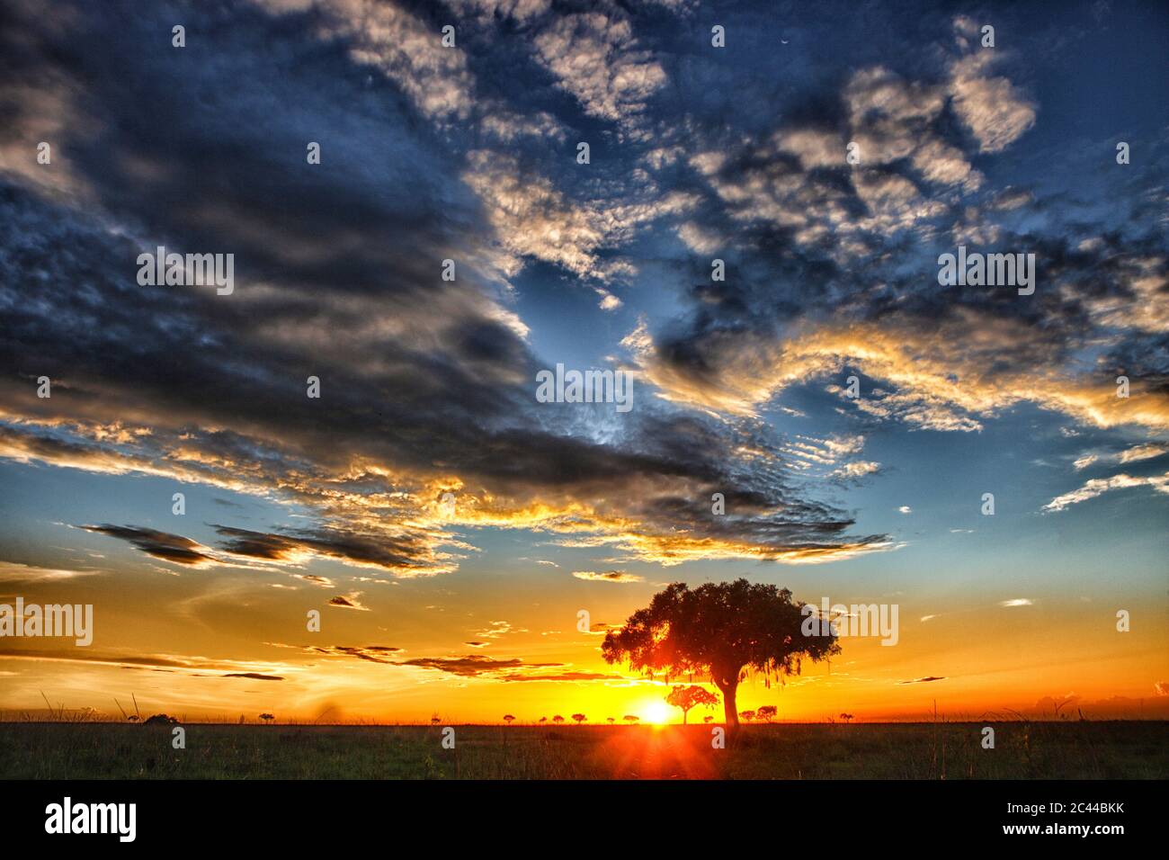 Congo landscape hi-res stock photography and images - Alamy