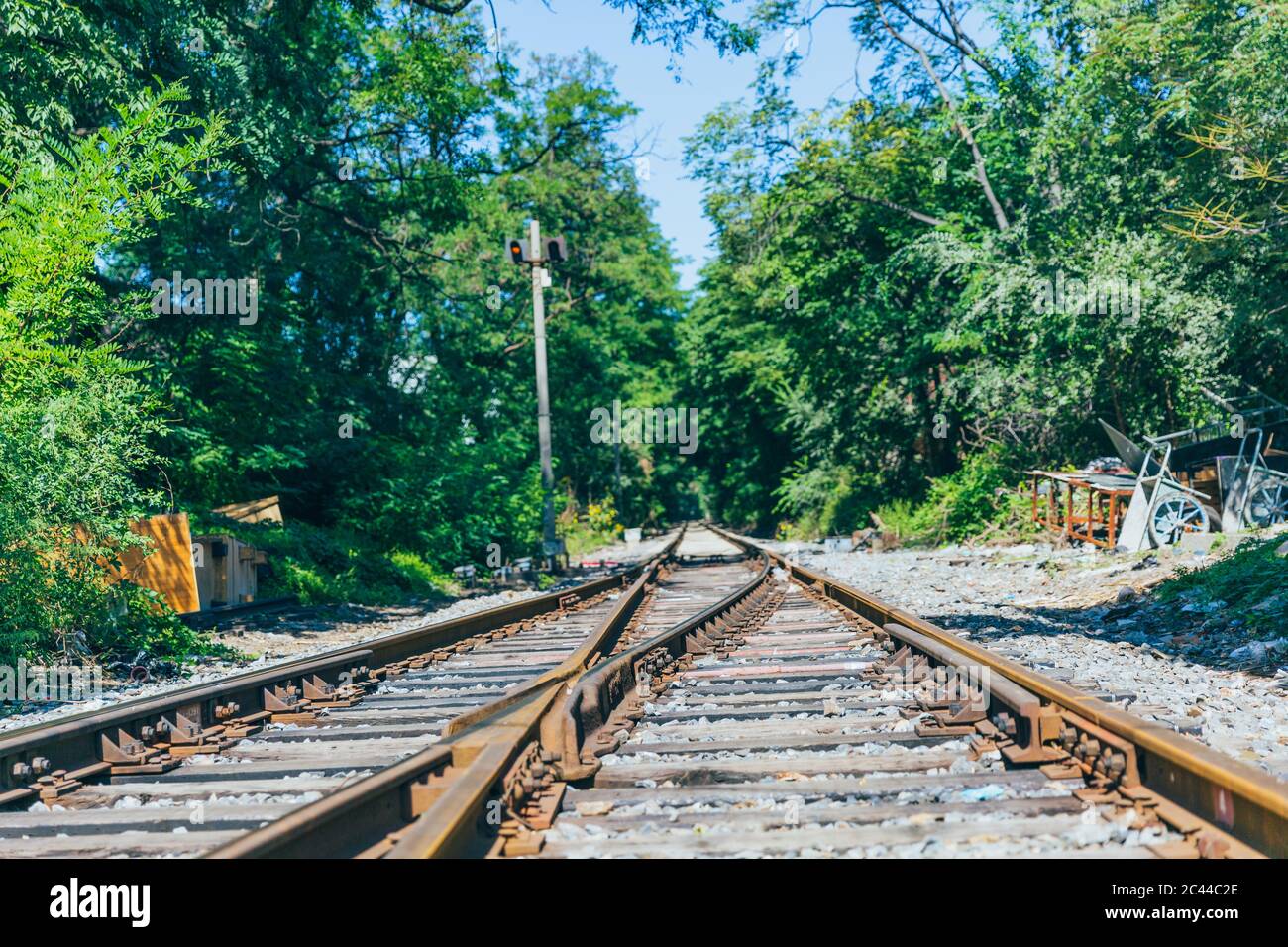 Outdoor green forest and extended railway track Stock Photo - Alamy