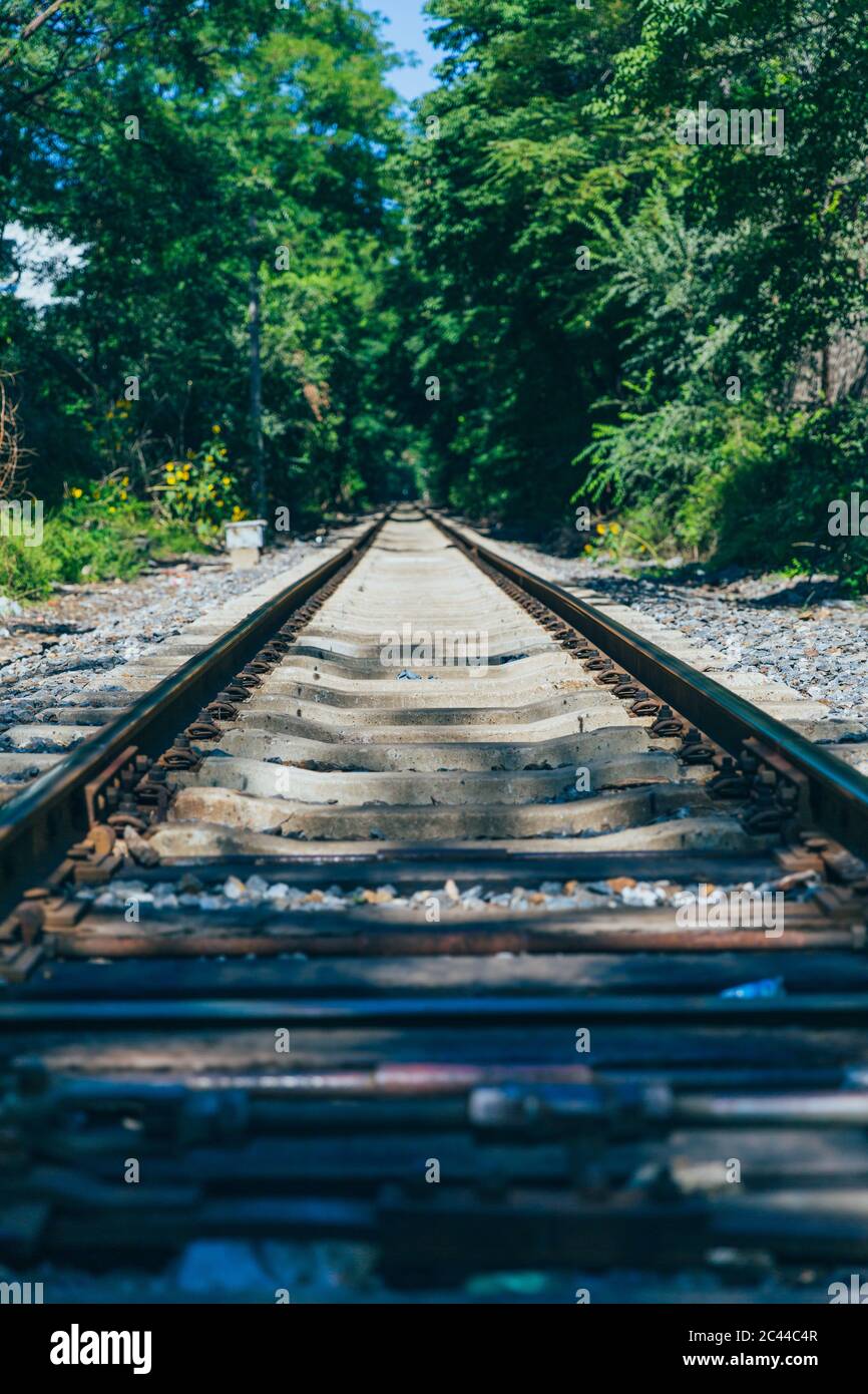 Outdoor green forest and extended railway track Stock Photo - Alamy