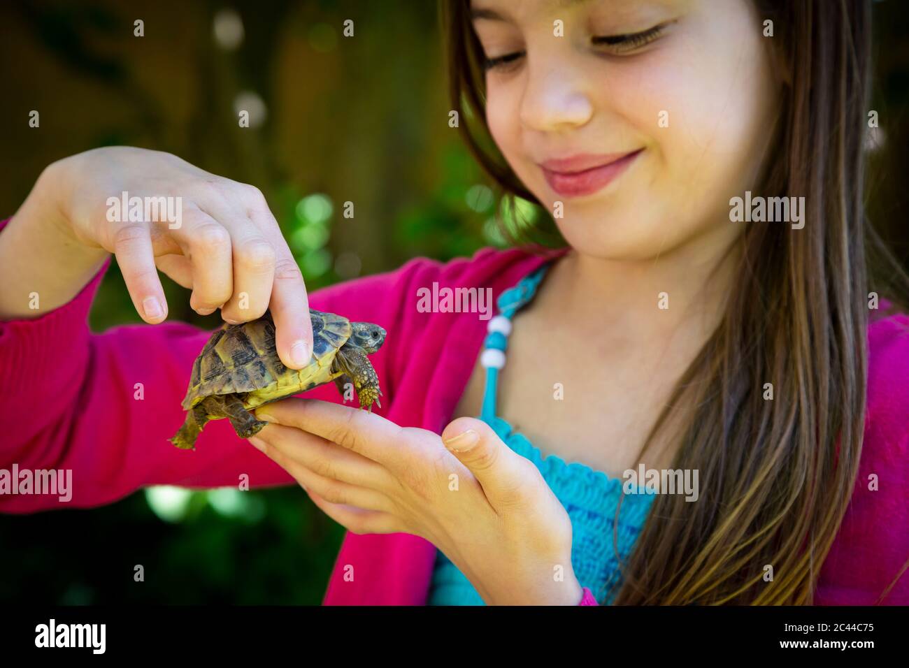 Smiling girl's hands holding small tortoise Stock Photo - Alamy