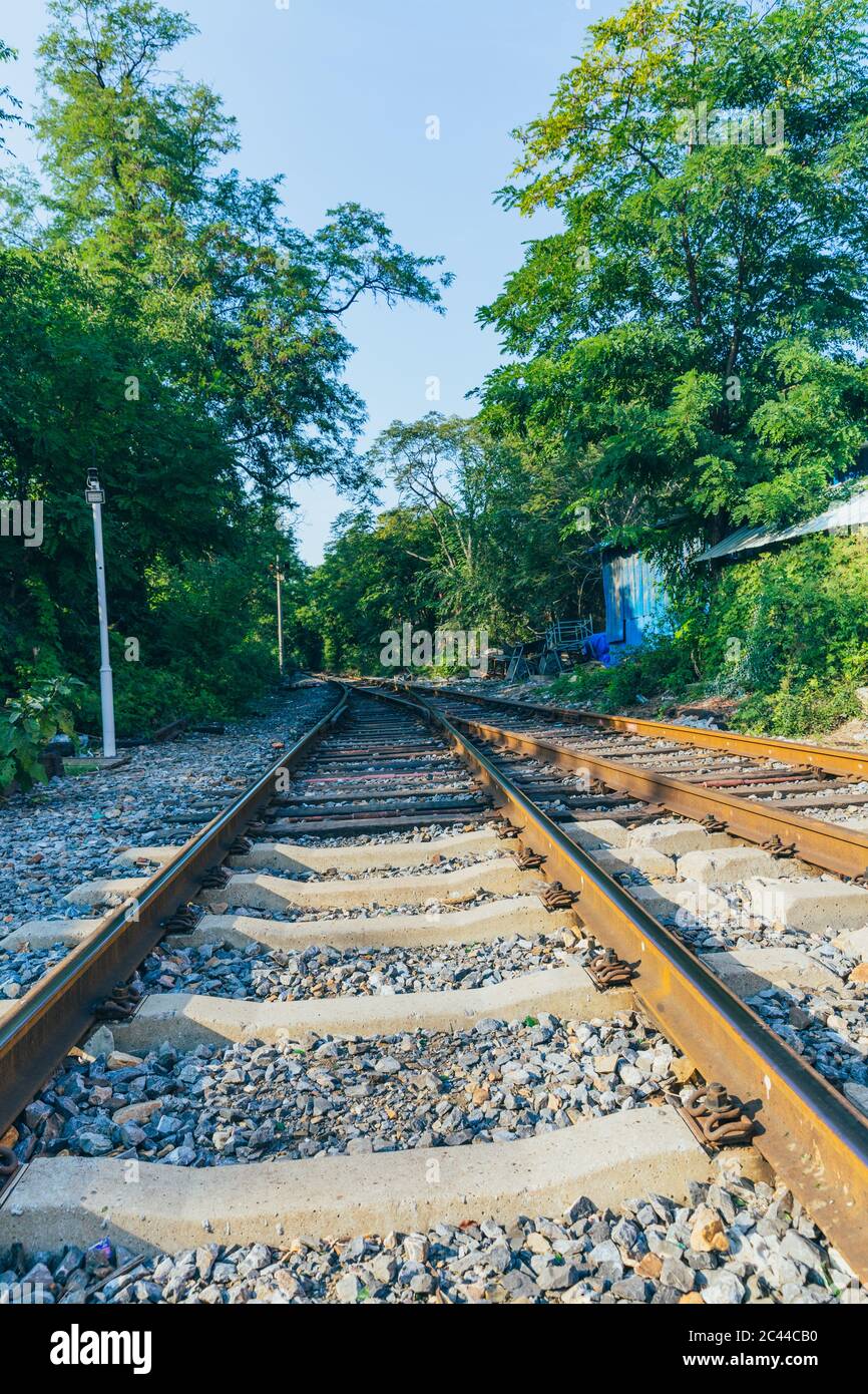 Outdoor green forest and extended railway track Stock Photo - Alamy