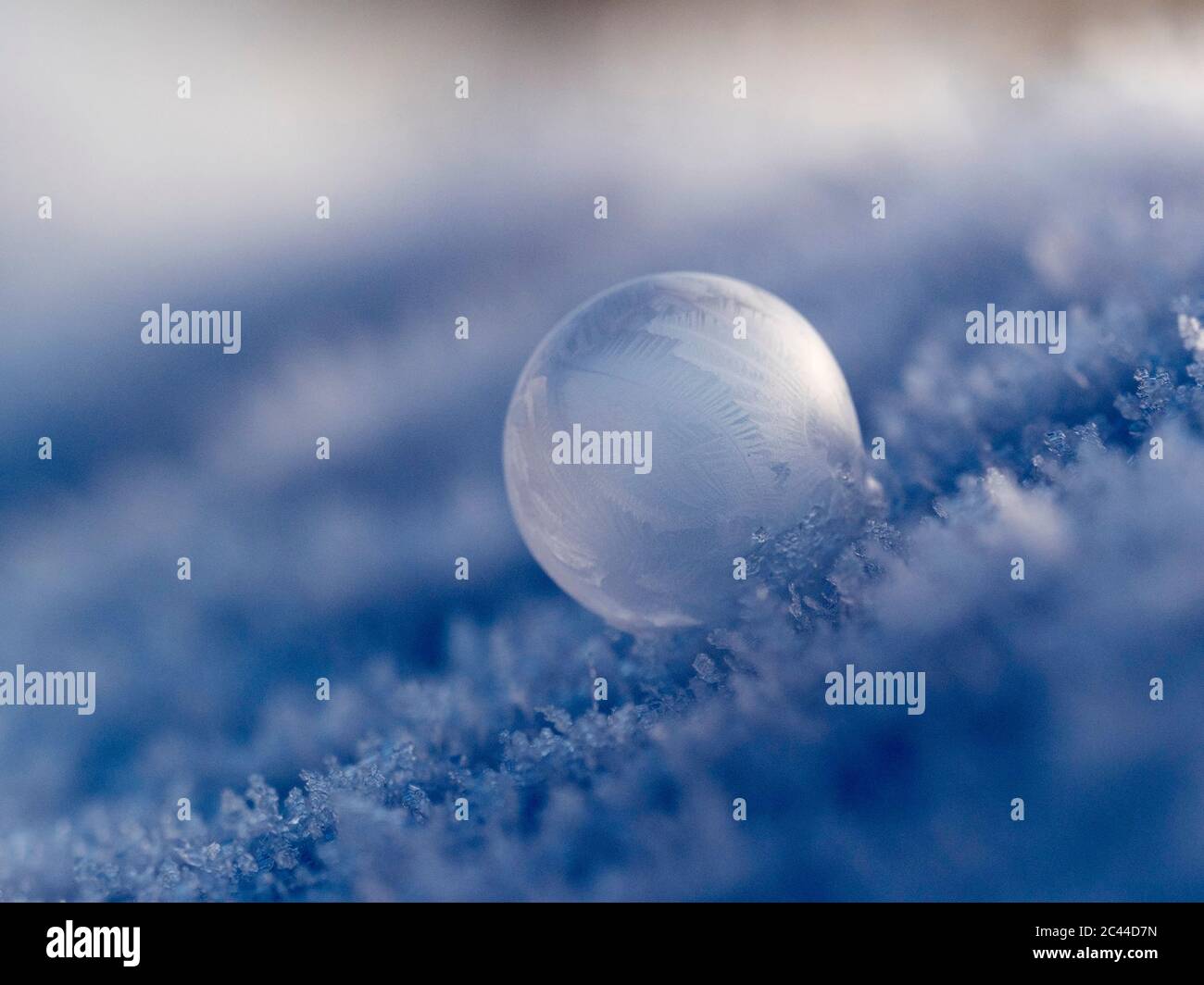 Frosted bubble in winter Stock Photo - Alamy
