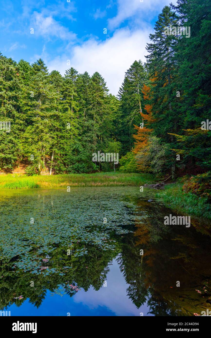 Pond reflection of sky hi-res stock photography and images - Alamy
