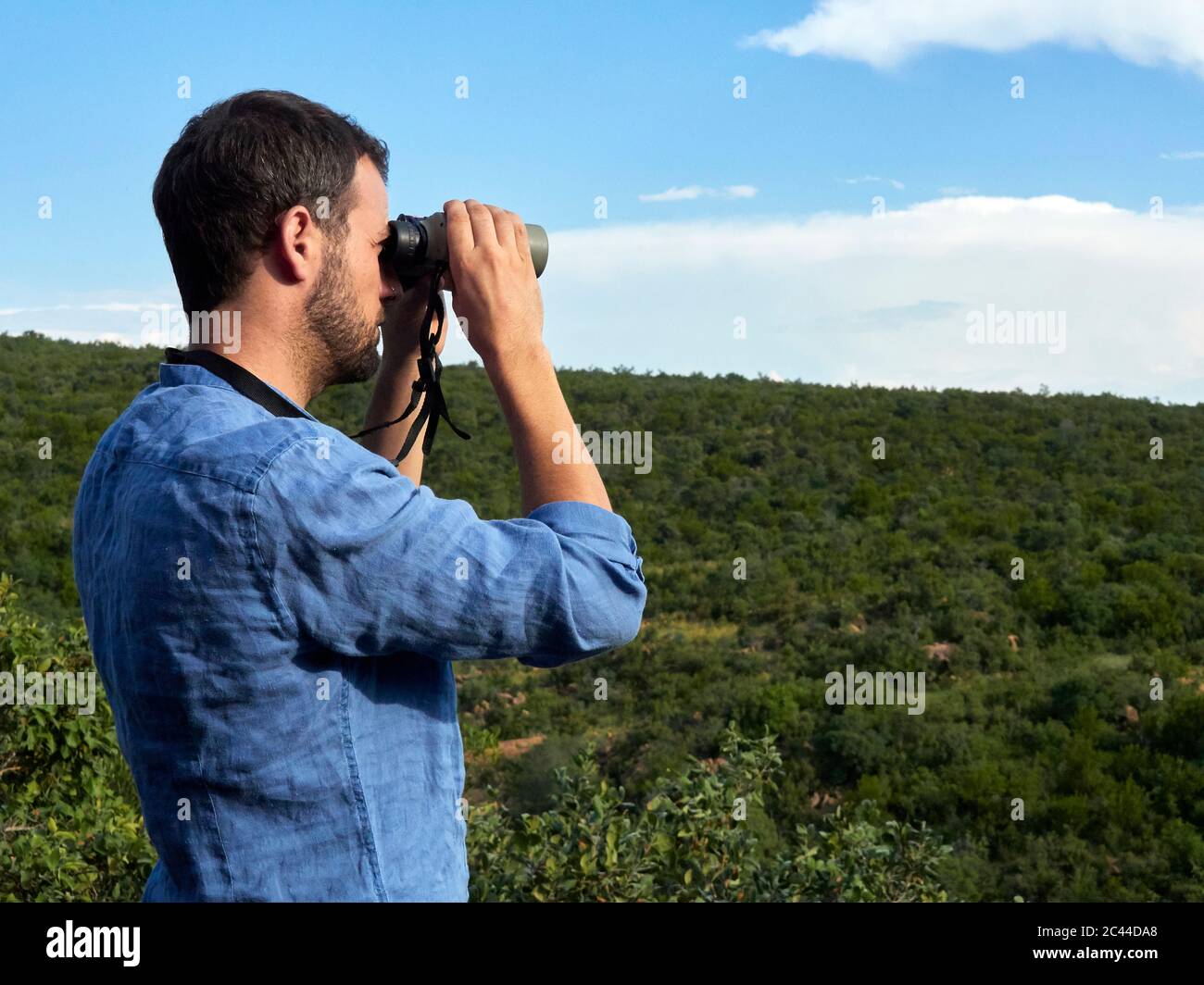 Man looking out for animals with binoculars, South Africa Stock Photo ...