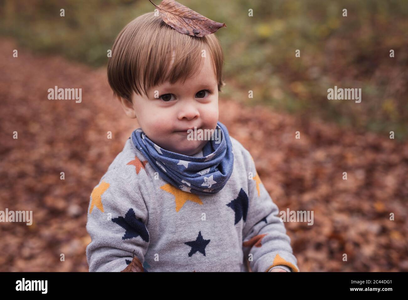 Germany, Baden-Wurttenberg, Lenningen, Portrait of little boy standing ...