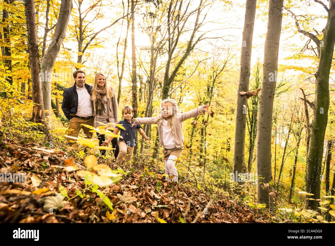 Family forest activity hi-res stock photography and images - Alamy