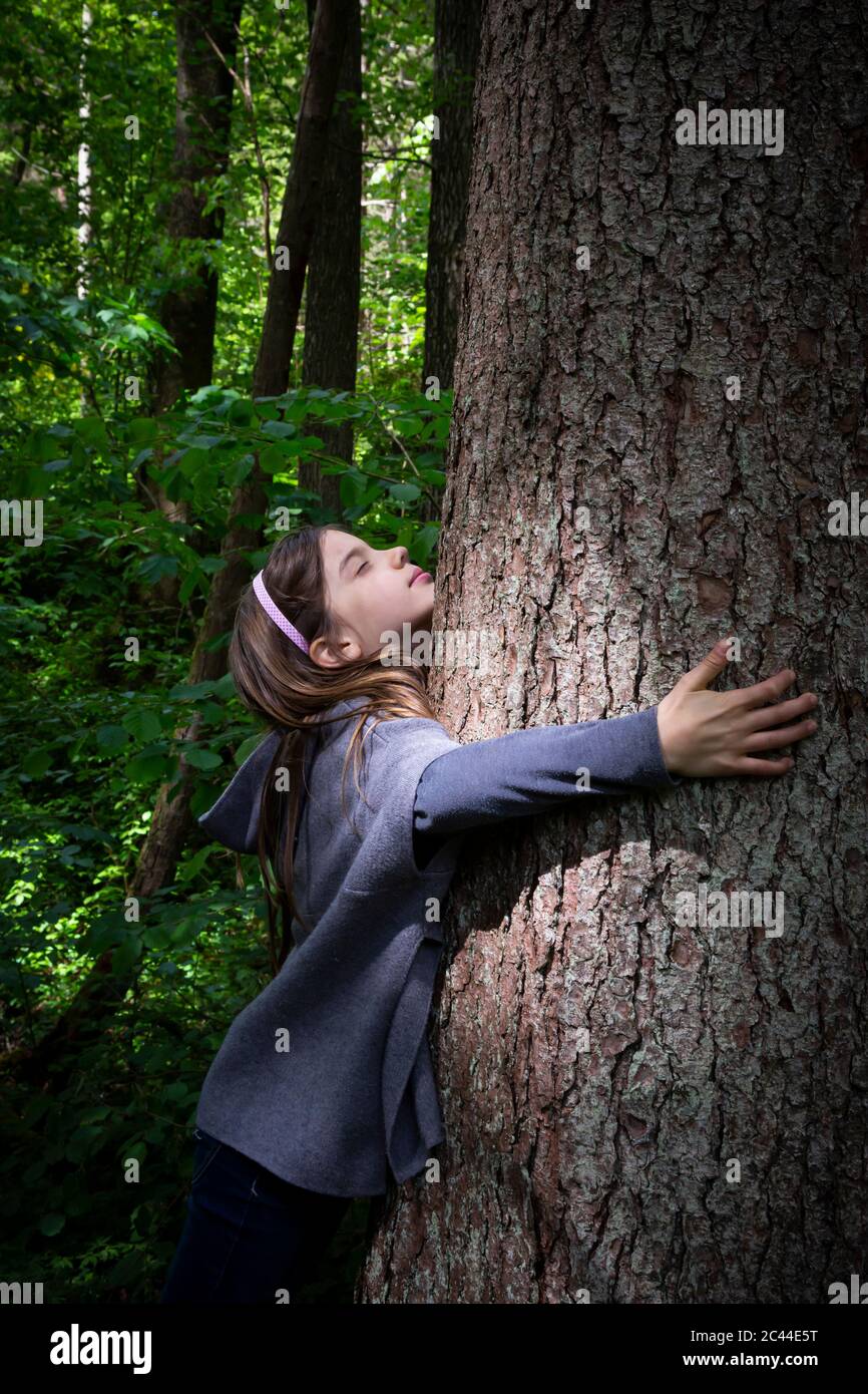 Cute elementary girl hugging tree trunk in forest Stock Photo - Alamy