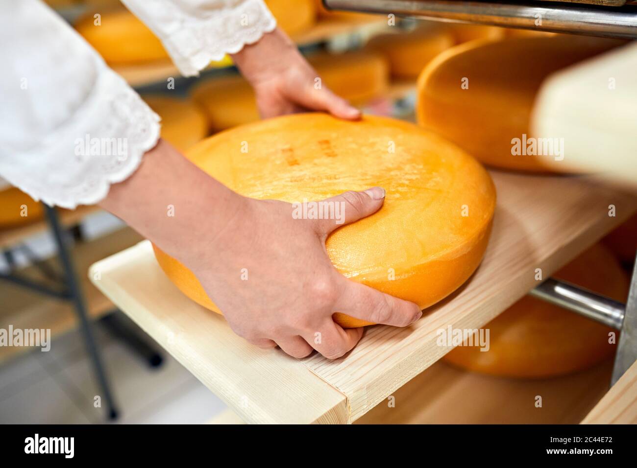 Cheese factory, female worker turning cheese wheel Stock Photo - Alamy