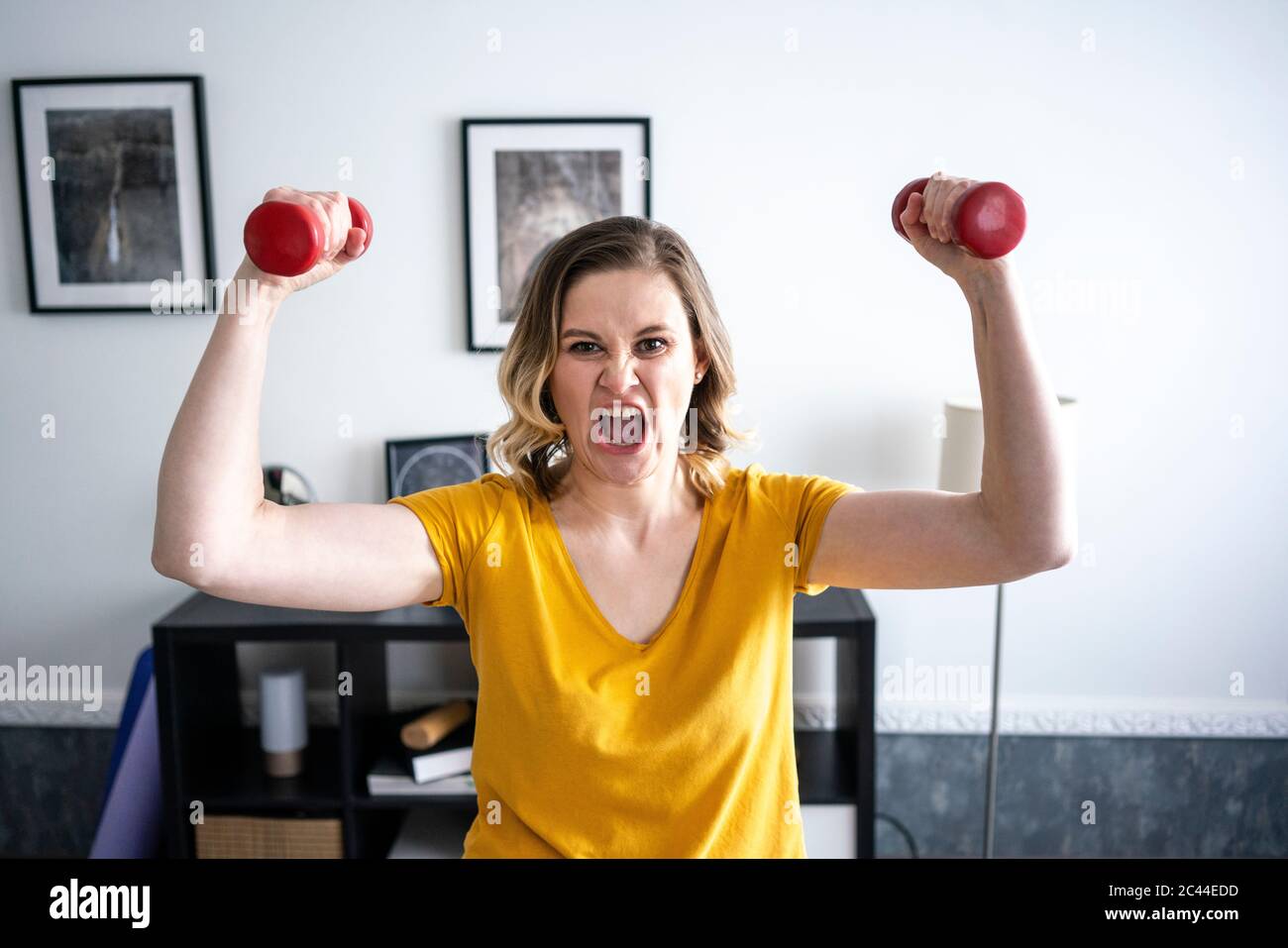 Portrait of screaming woman doing home workout with dumbbells Stock ...