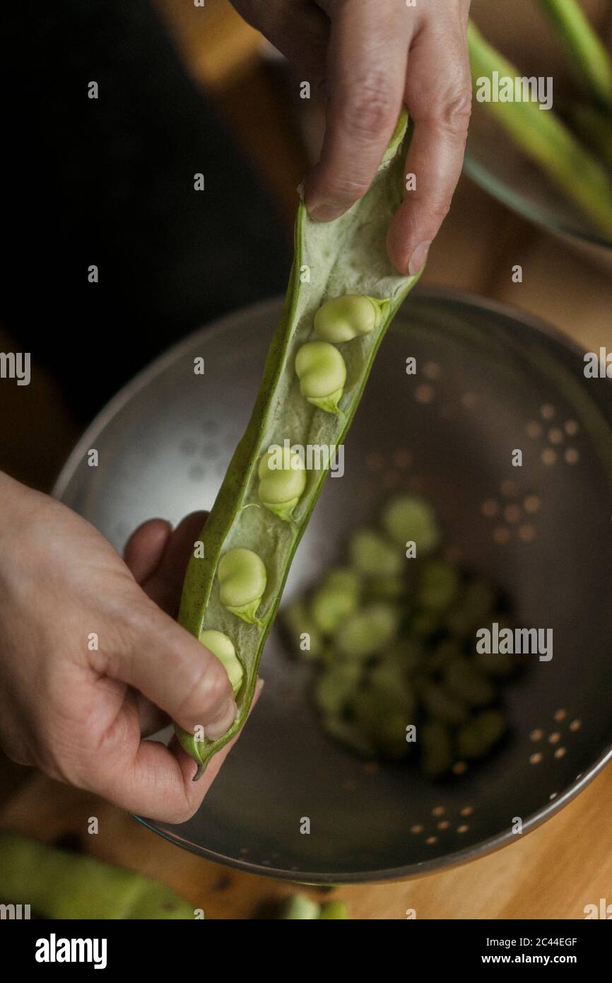 Hand with beans hi-res stock photography and images - Alamy